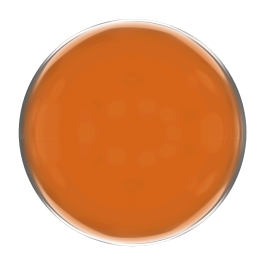 Beauty Factory Gel Colour 224 - Orange, 15ml